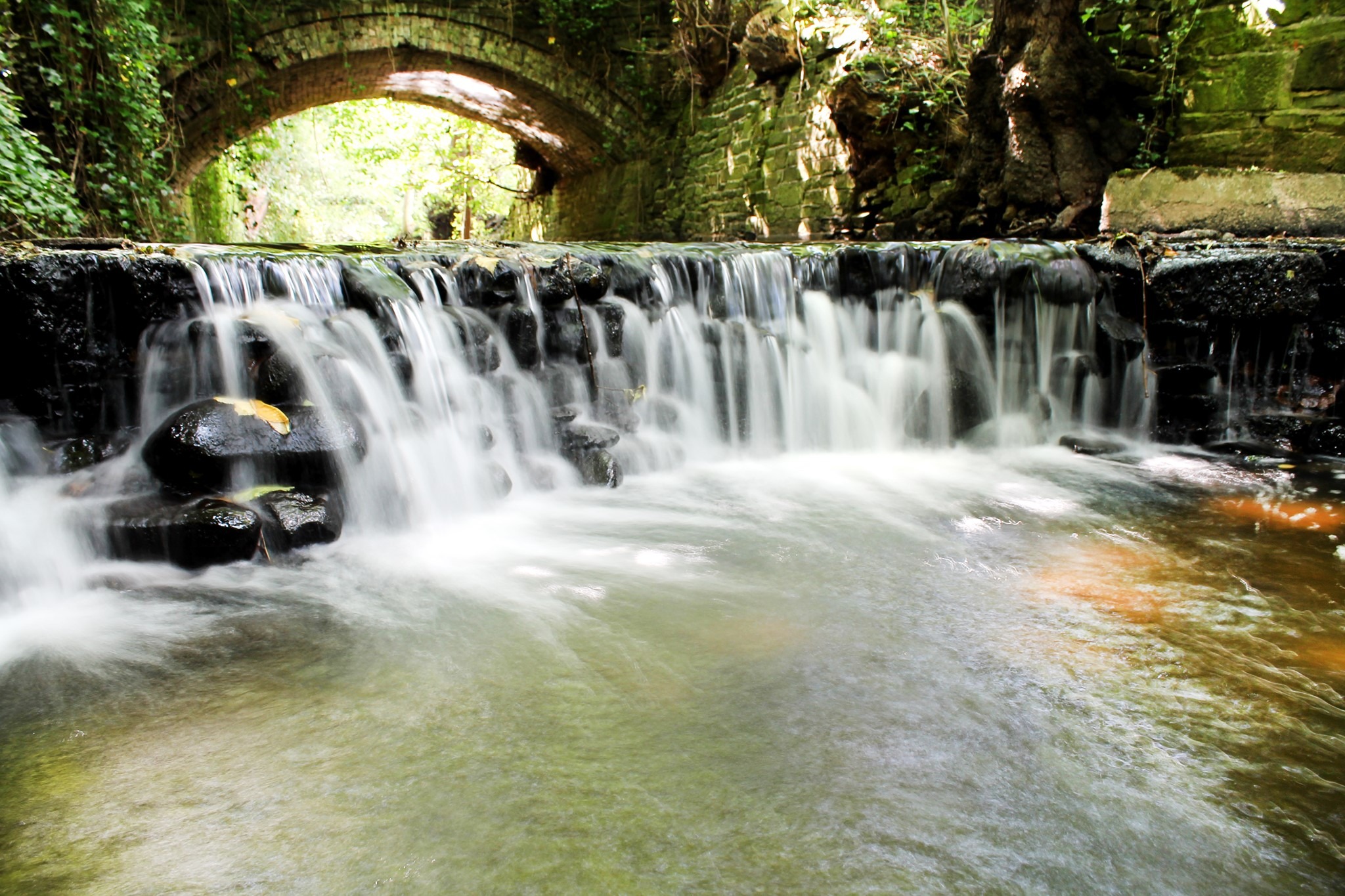 Wildlife & Landscape Photography | Niki Jarvill Photography & Videography